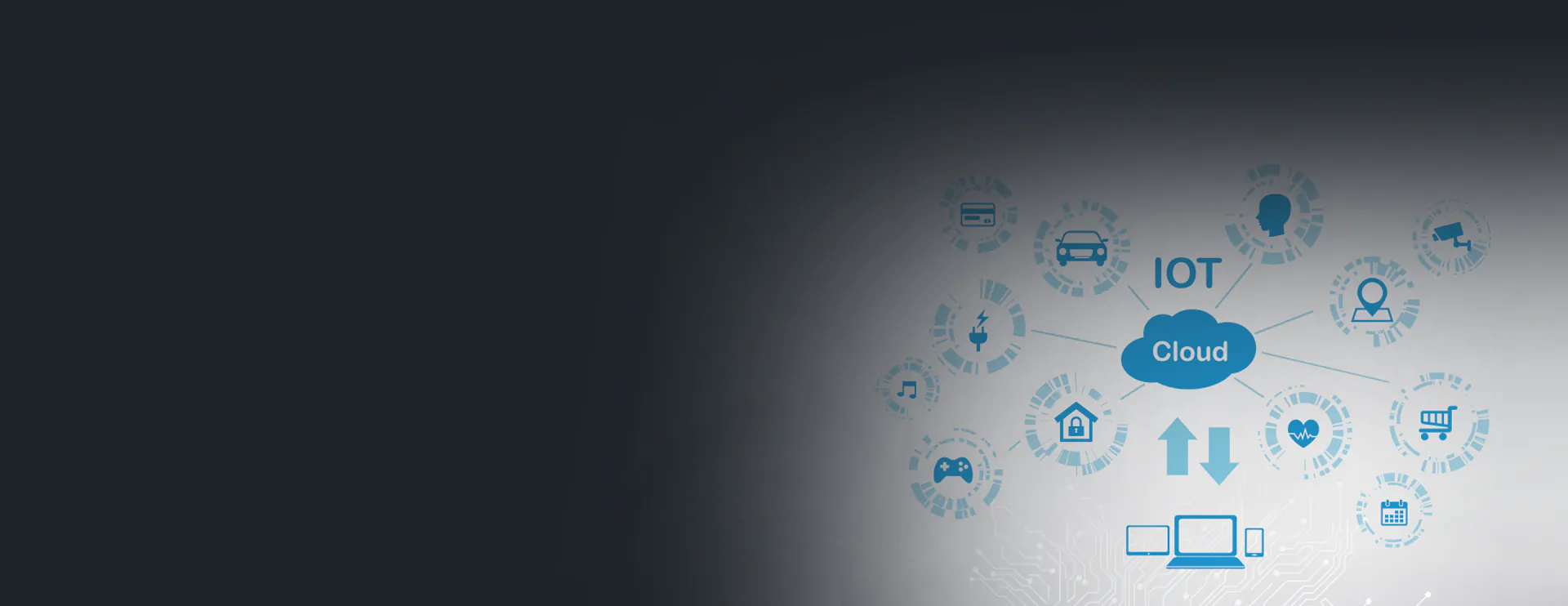 Embedded & IOT Software Development Company | Monarch Innovation